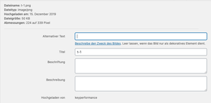 Alt-Tag richtig verwenden: Mehr Barrierefreiheit & besseres SEO